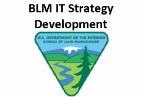 BLM IT Strategy Development - Large Data Program Consulting - 8(a)
